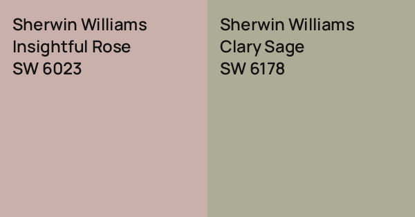 Sherwin Williams Insightful Rose vs. Sherwin Williams Clary Sage comparison
