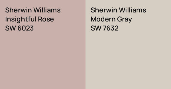 Sherwin Williams Insightful Rose vs. Sherwin Williams Modern Gray ...