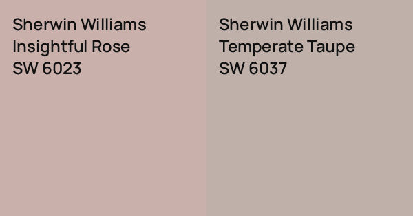 Sherwin Williams Insightful Rose vs. Sherwin Williams Temperate Taupe ...