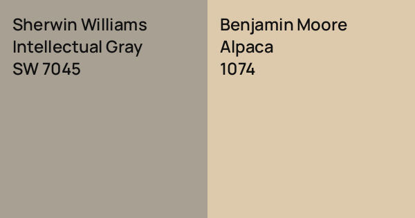 Sherwin Williams Intellectual Gray vs. Benjamin Moore Alpaca comparison
