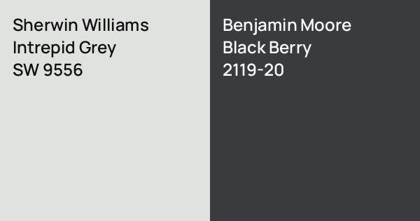 Sherwin Williams Intrepid Grey vs. Benjamin Moore Black Berry comparison