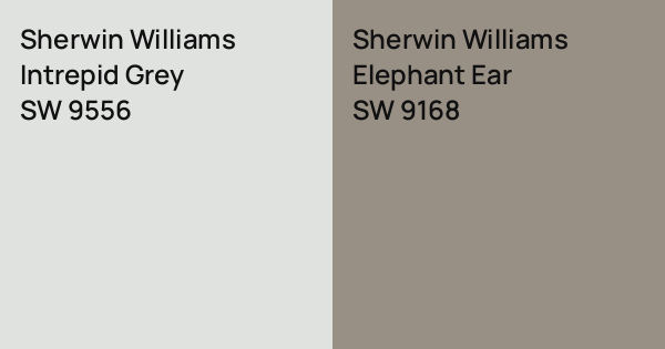Sherwin Williams Intrepid Grey vs. Sherwin Williams Elephant Ear comparison