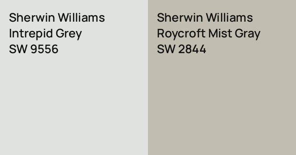 Sherwin Williams Intrepid Grey vs. Sherwin Williams Roycroft Mist Gray ...