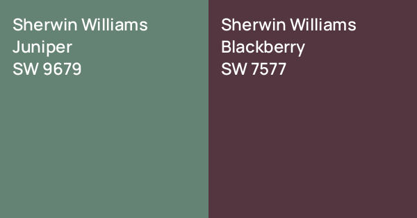 Sherwin Williams Juniper vs. Sherwin Williams Blackberry comparison