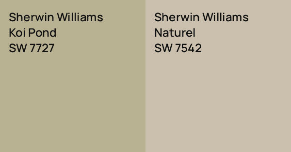 Koi Pond Sherwin Williams