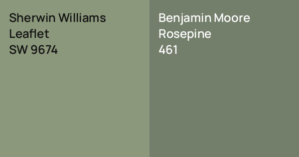 Sherwin Williams Leaflet vs. Benjamin Moore Rosepine comparison