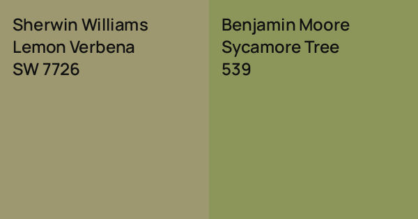 Sherwin Williams Lemon Verbena vs. Benjamin Moore Sycamore Tree comparison