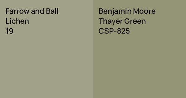 Farrow and Ball Lichen vs. Benjamin Moore Thayer Green comparison