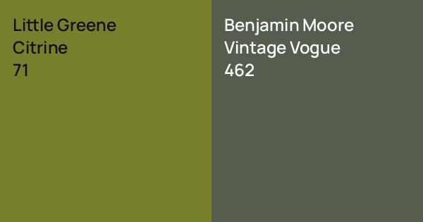 Little Greene Citrine vs. Benjamin Moore Vintage Vogue comparison