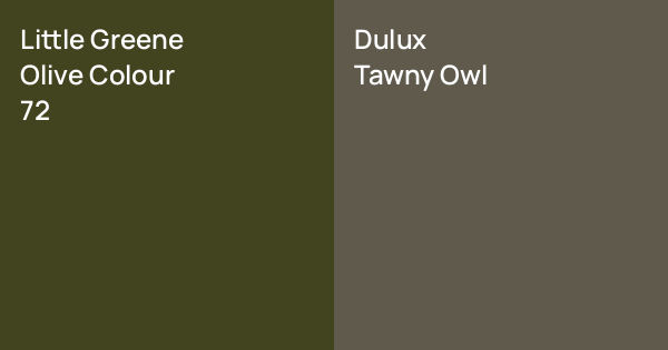 Little Greene Olive Colour vs. Dulux Tawny Owl comparison
