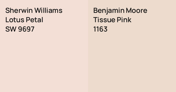 Sherwin Williams Lotus Petal vs. Benjamin Moore Tissue Pink comparison