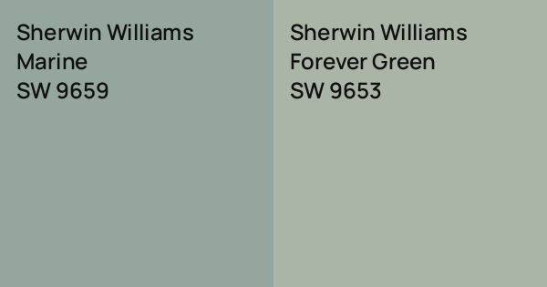 Sherwin Williams Marine vs. Sherwin Williams Forever Green comparison