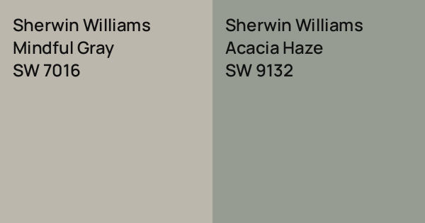 Sherwin Williams Mindful Gray vs. Sherwin Williams Acacia Haze comparison