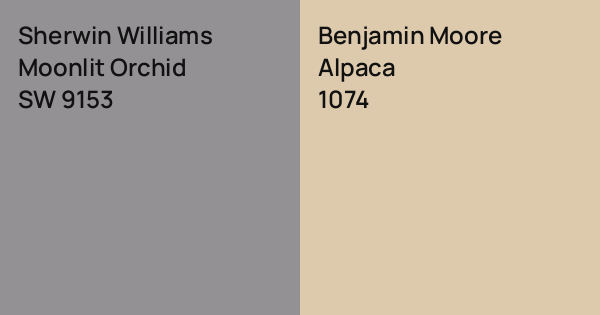Sherwin Williams Moonlit Orchid vs. Benjamin Moore Alpaca comparison