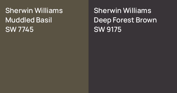 Sherwin Williams Muddled Basil vs. Sherwin Williams Deep Forest Brown ...