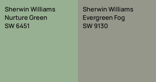 Sherwin Williams Nurture Green vs. Sherwin Williams Evergreen Fog ...