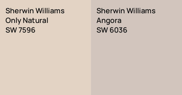 Sherwin Williams Only Natural vs. Sherwin Williams Angora comparison