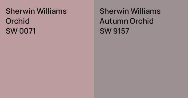 Sherwin Williams Orchid vs. Sherwin Williams Autumn Orchid comparison