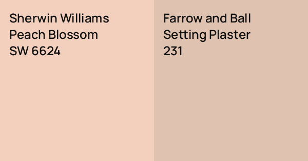 Sherwin Williams Peach Blossom vs. Farrow and Ball Setting Plaster ...