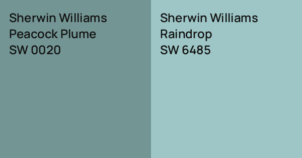Sherwin Williams Peacock Plume vs. Sherwin Williams Raindrop comparison