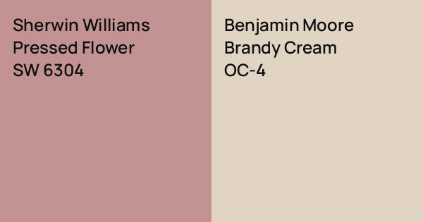 Sherwin Williams Pressed Flower vs. Benjamin Moore Brandy Cream comparison