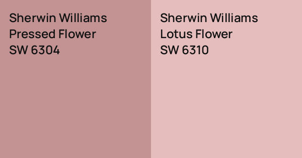 Sherwin Williams Pressed Flower vs. Sherwin Williams Lotus Flower ...