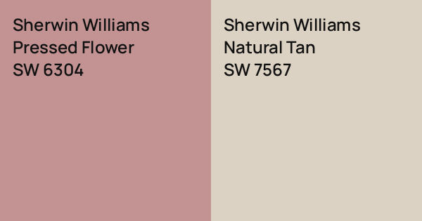 Sherwin Williams Pressed Flower vs. Sherwin Williams Natural Tan comparison