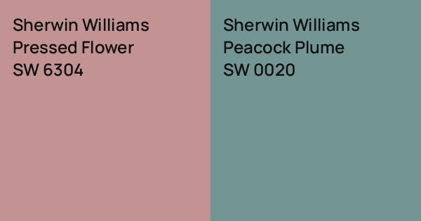Sherwin Williams Pressed Flower vs. Sherwin Williams Peacock Plume ...