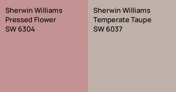 Sherwin Williams Pressed Flower vs. Sherwin Williams Temperate Taupe ...