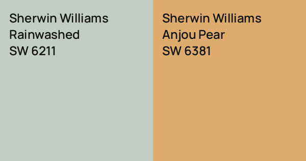 Sherwin Williams Rainwashed vs. Sherwin Williams Anjou Pear comparison