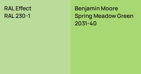 RAL Effect RAL 230-1 vs. Benjamin Moore Spring Meadow Green comparison