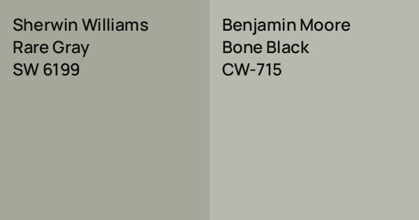 Sherwin Williams Rare Gray vs. Benjamin Moore Bone Black comparison