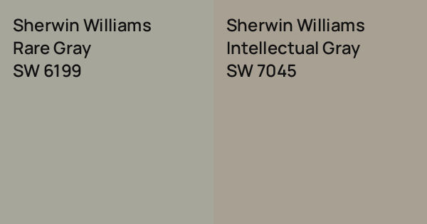 Sherwin Williams Rare Gray vs. Sherwin Williams Intellectual Gray ...