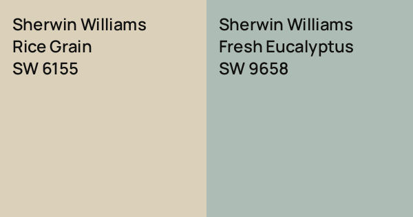 Sherwin Williams Rice Grain vs. Sherwin Williams Fresh Eucalyptus ...