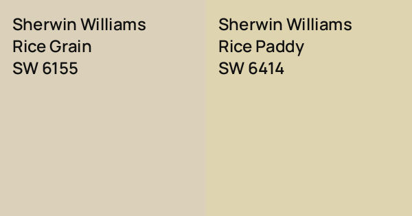 Sherwin Williams Rice Grain vs. Sherwin Williams Rice Paddy comparison