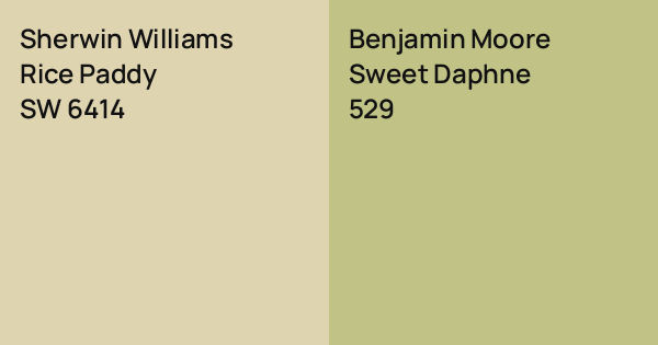 Sherwin Williams Rice Paddy vs. Benjamin Moore Sweet Daphne comparison