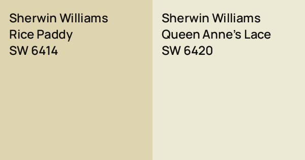 Sherwin Williams Rice Paddy vs. Sherwin Williams Queen Anne's Lace ...