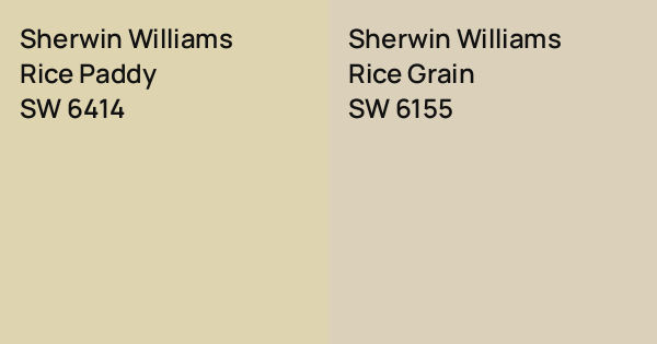 Sherwin Williams Rice Paddy vs. Sherwin Williams Rice Grain comparison