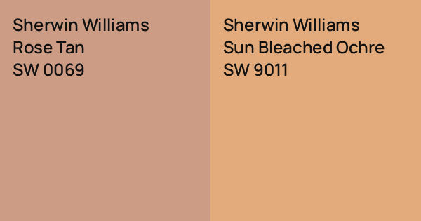 Sherwin Williams Rose Tan vs. Sherwin Williams Sun Bleached Ochre ...