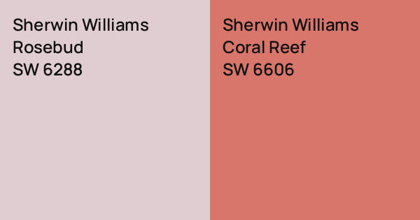 Sherwin Williams Rosebud vs. Sherwin Williams Coral Reef comparison