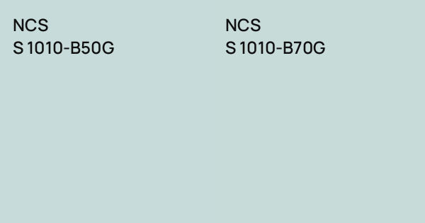 NCS S 1010-B50G vs. NCS S 1010-B70G comparison