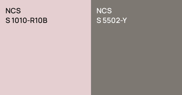 NCS S 1010-R10B vs. NCS S 5502-Y comparison
