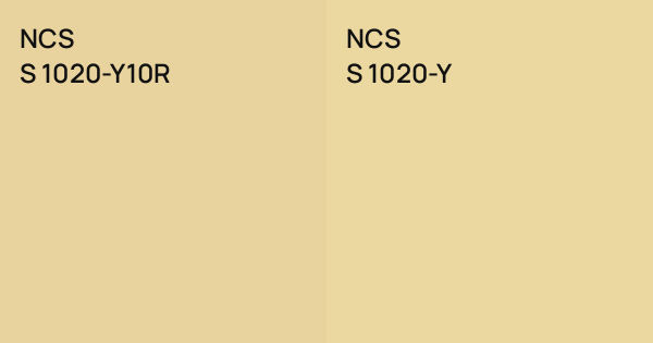 NCS S 1020-Y10R vs. NCS S 1020-Y comparison