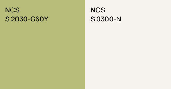 NCS S 2030-G60Y vs. NCS S 0300-N comparison