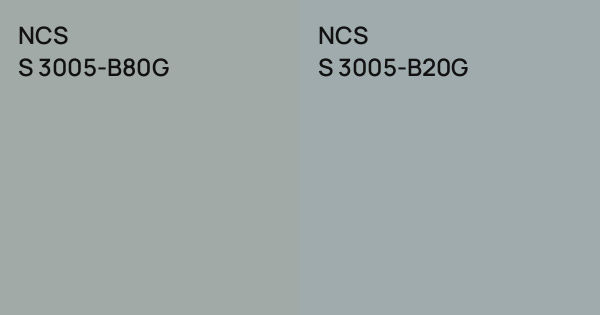 NCS S 3005-B80G vs. NCS S 3005-B20G comparison