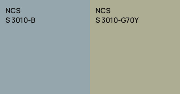 NCS S 3010-B vs. NCS S 3010-G70Y comparison