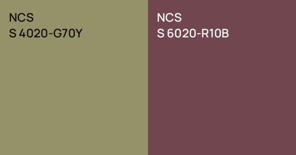 NCS S 4020-G70Y vs. NCS S 6020-R10B comparison