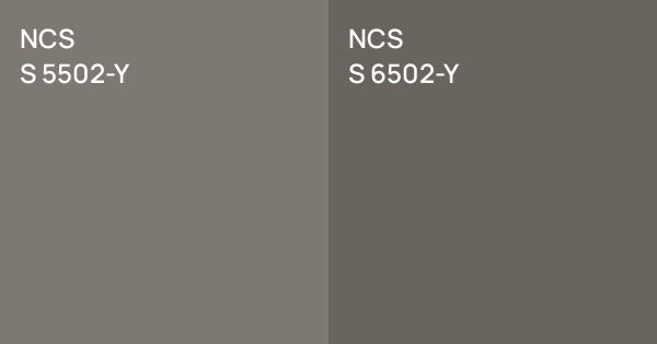 NCS S 5502-Y vs. NCS S 6502-Y comparison