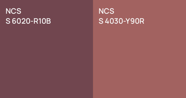 NCS S 6020-R10B vs. NCS S 4030-Y90R comparison