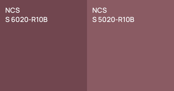 NCS S 6020-R10B vs. NCS S 5020-R10B comparison